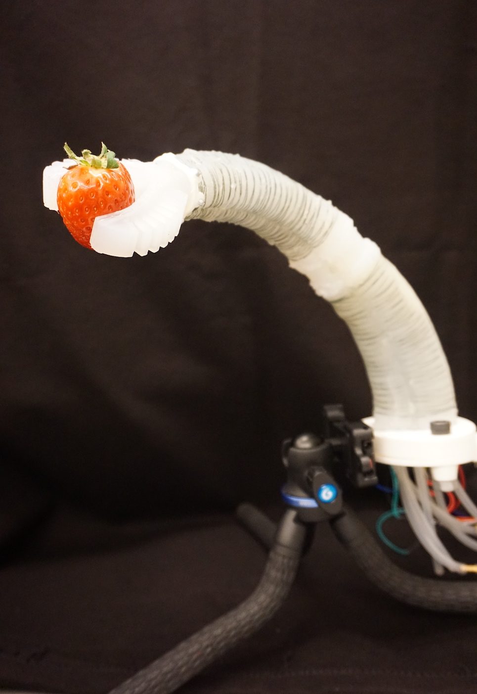 Soft Arms – Soft Robotics Research